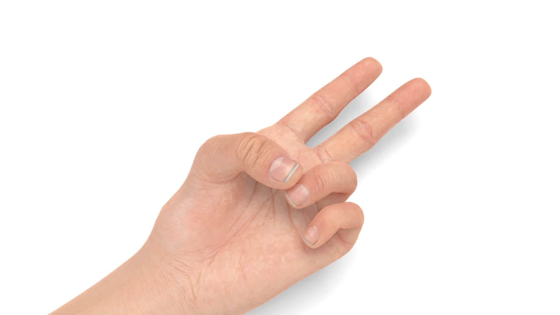 Male Rigged Hands - 3D Model by H3afDya