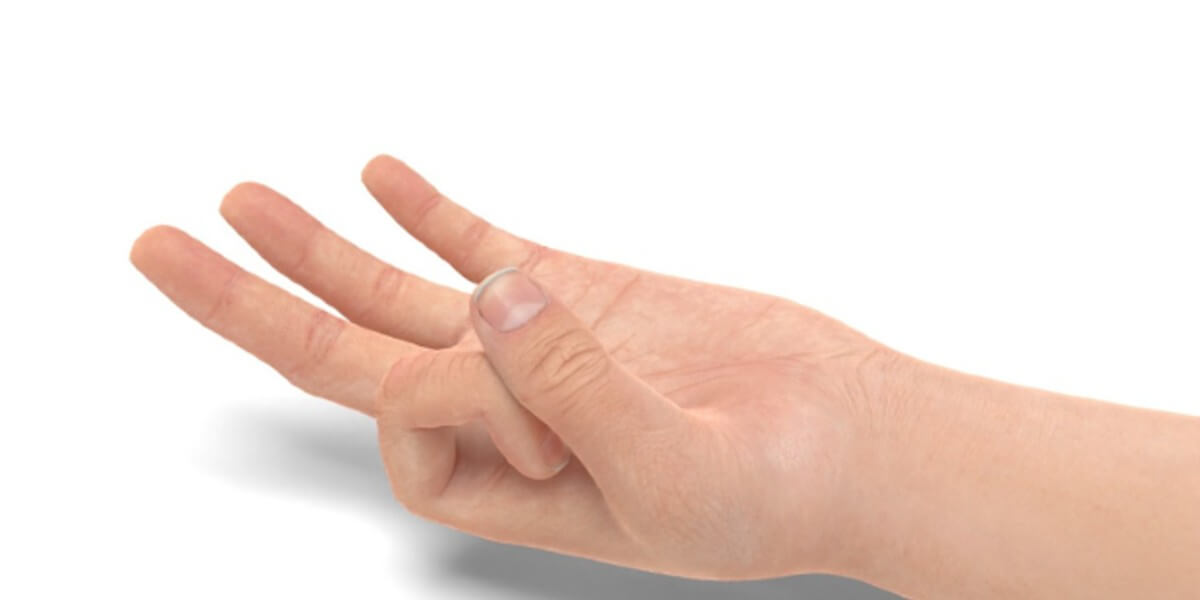 Male Rigged Hands - 3D Model by H3afDya