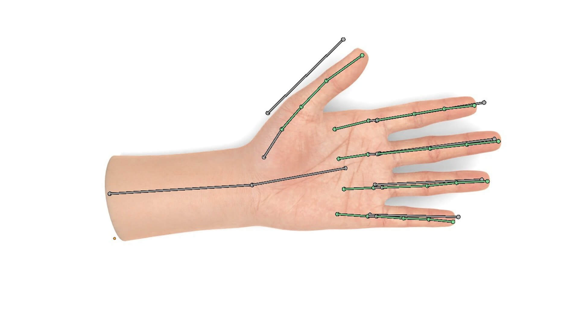 Male Rigged Hands - 3D Model by H3afDya