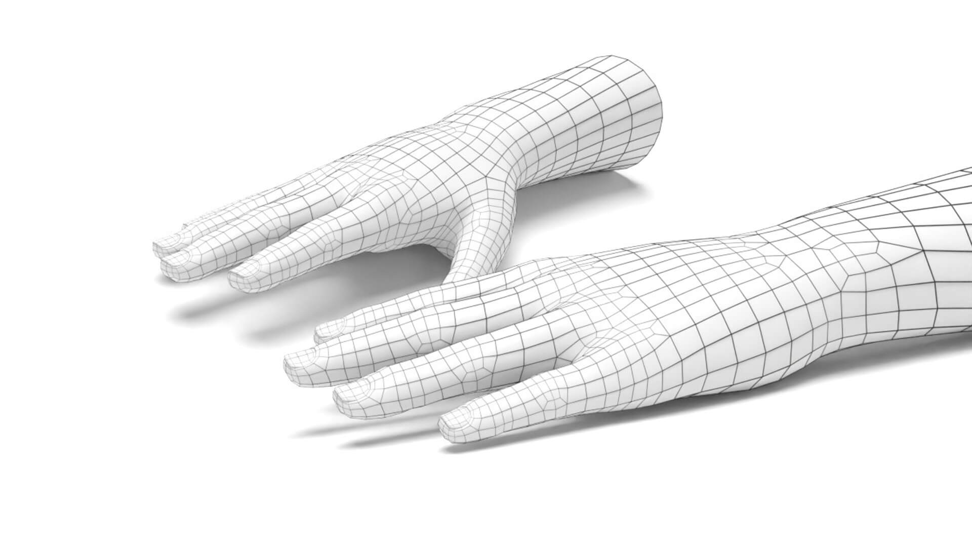 Male Rigged Hands - 3D Model by H3afDya