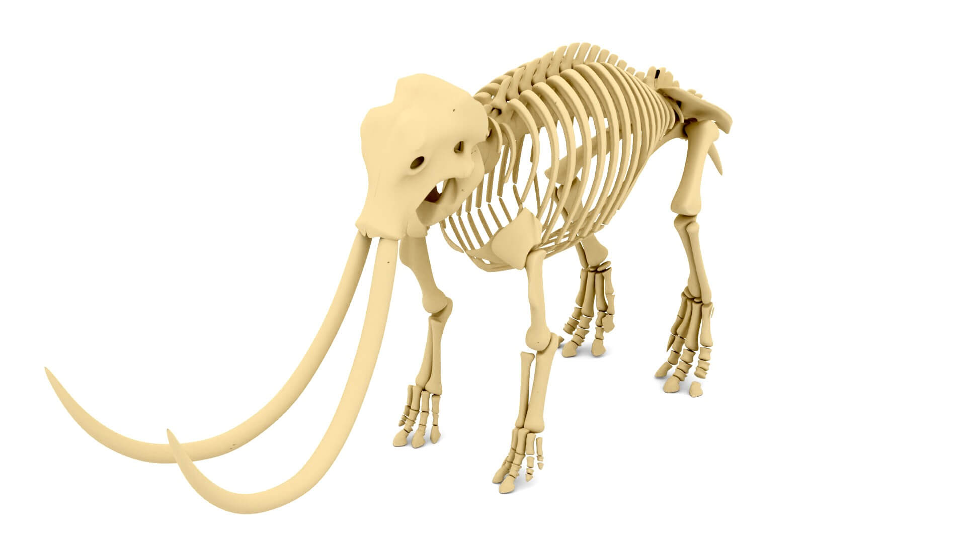 Mammoth Skeleton - 3D Model by H3afDya