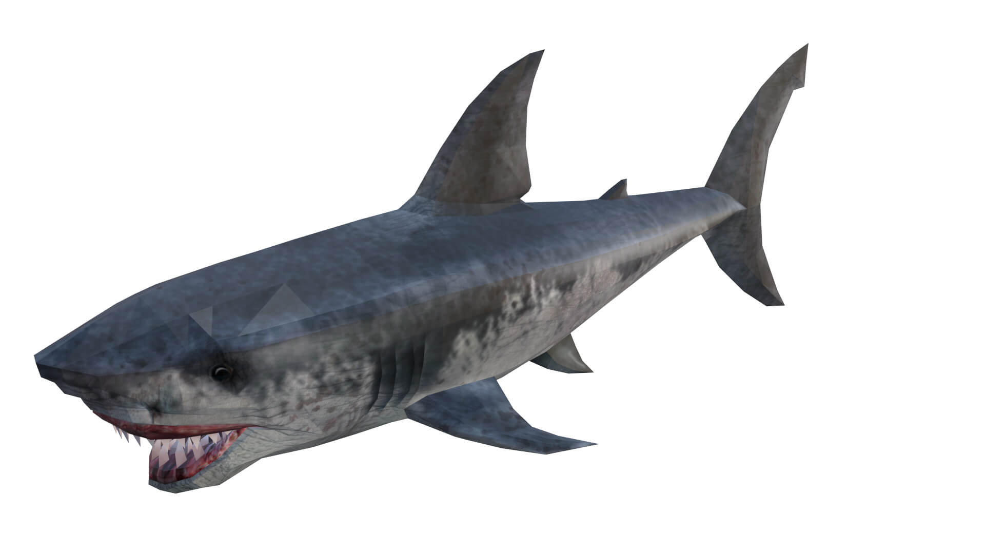 Megalodon Sharks - 3D Model by H3afDya