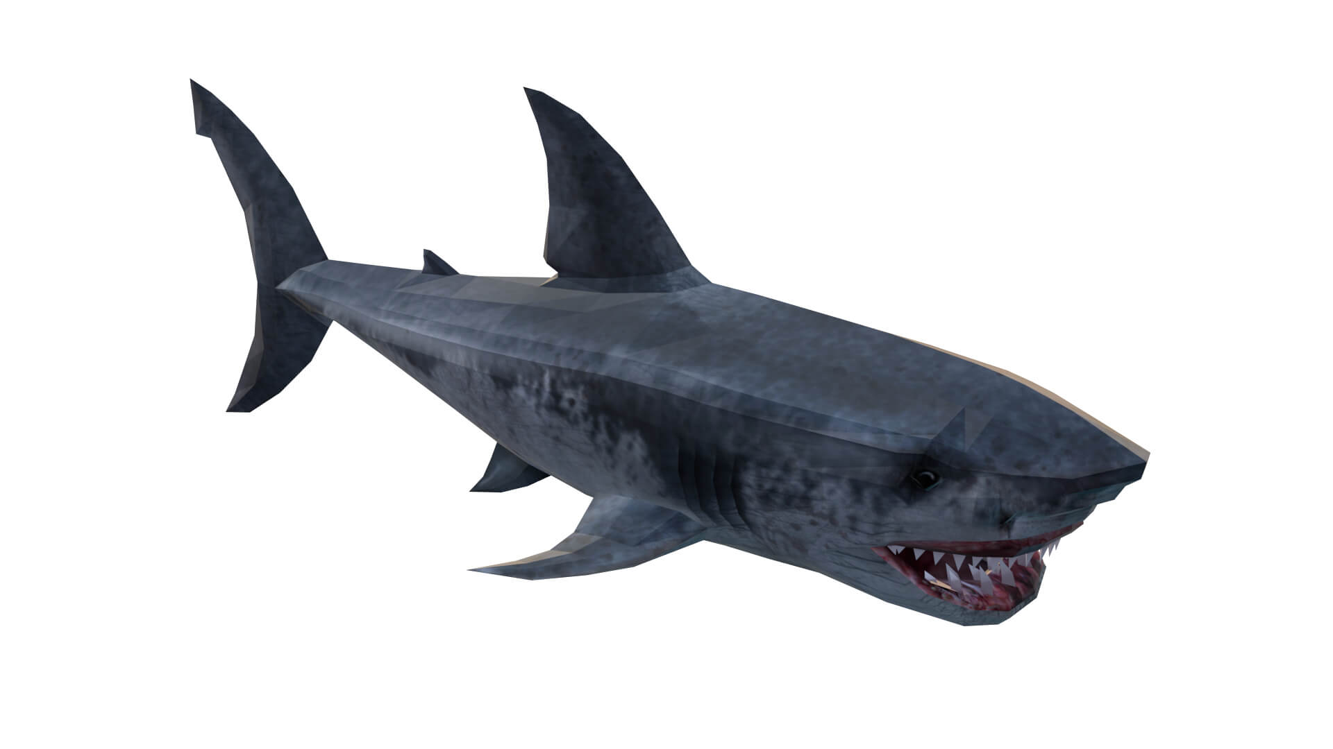 Megalodon Sharks - 3D Model by H3afDya