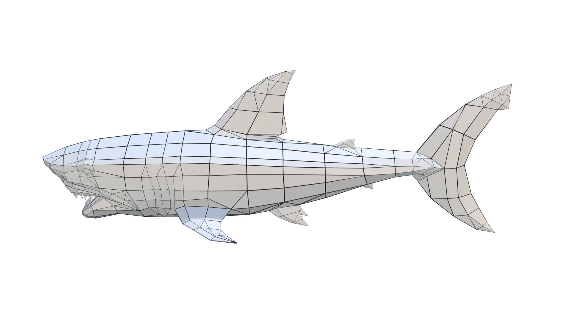 Megalodon Sharks - 3D Model by H3afDya