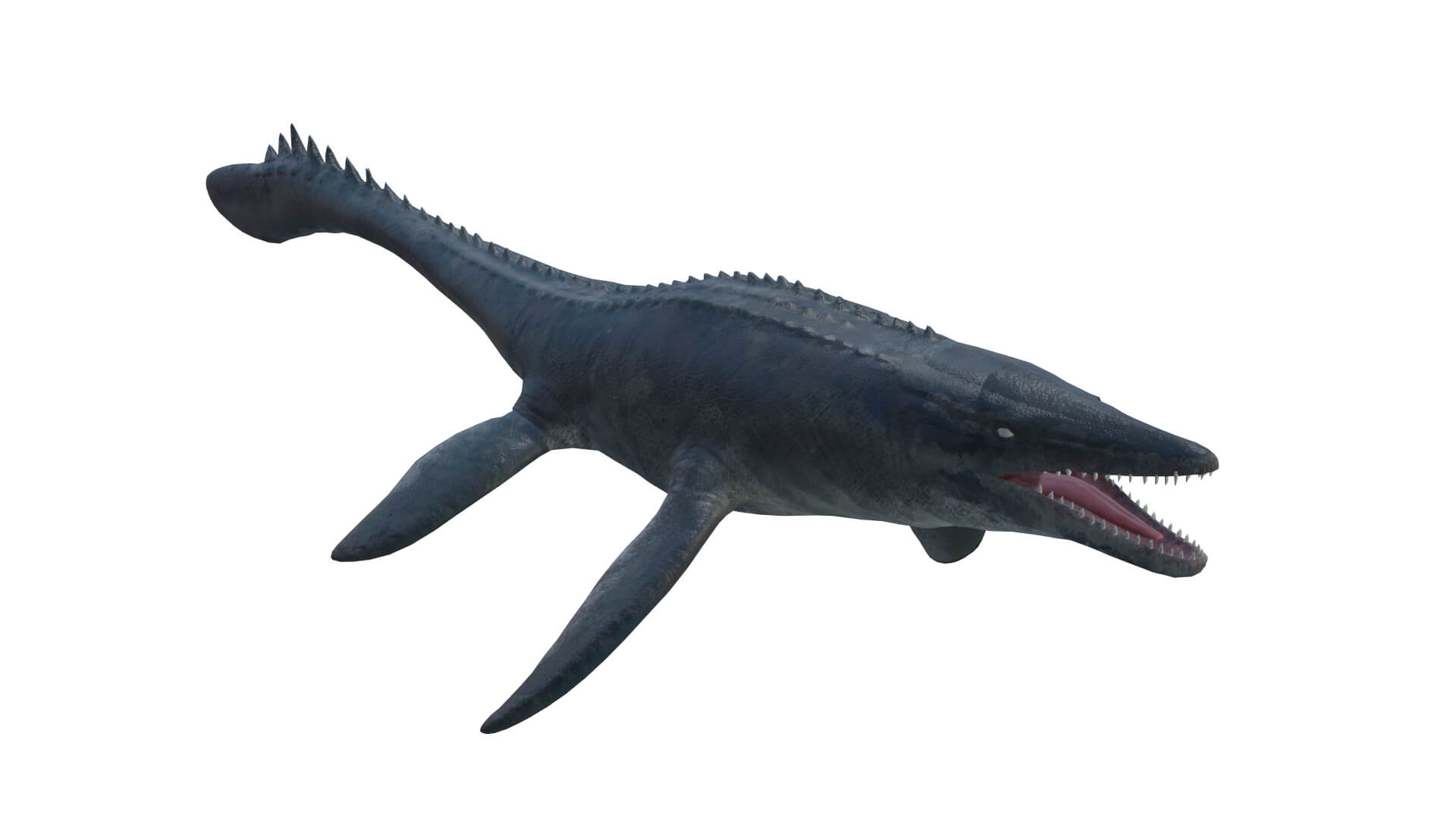 Mosasaurus Reptiles - 3D Model by H3afDya
