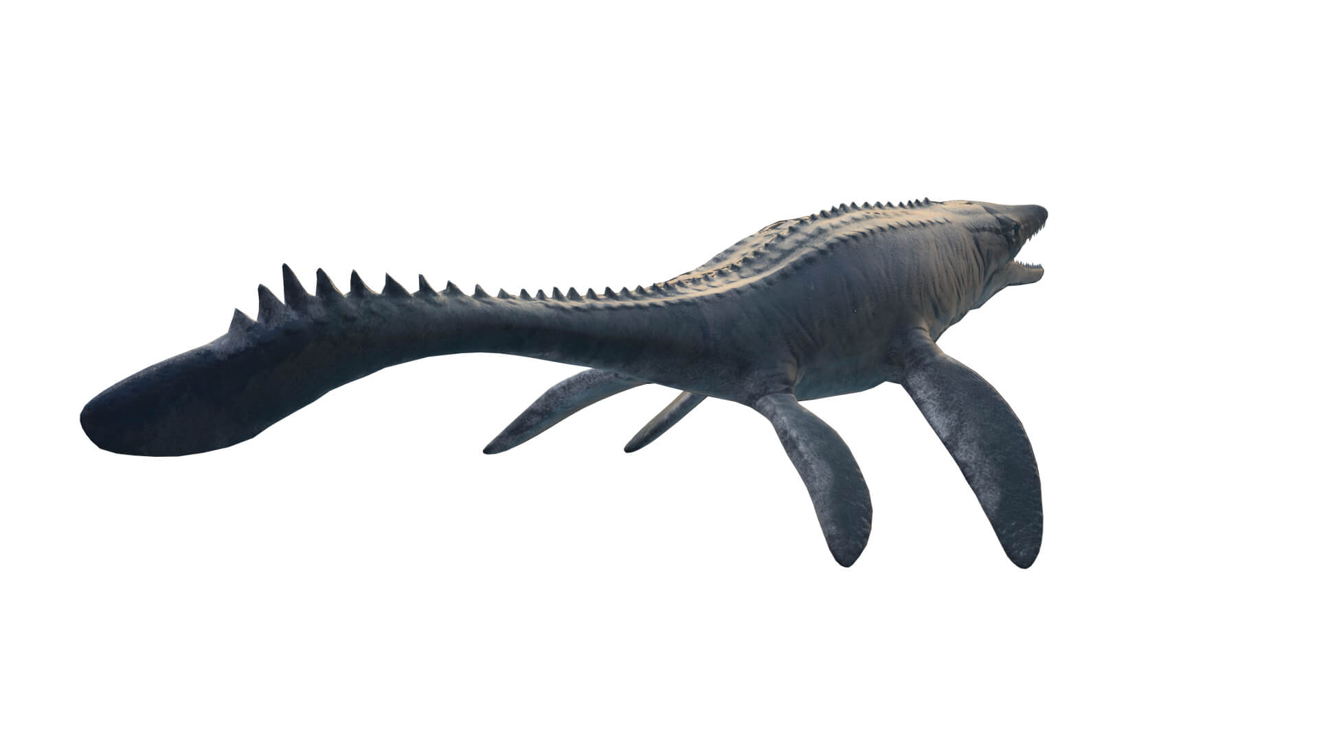 Mosasaurus Reptiles - 3D Model by H3afDya