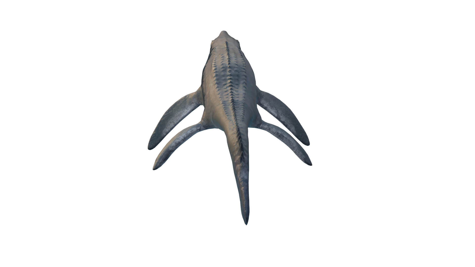 Mosasaurus Reptiles - 3D Model by H3afDya