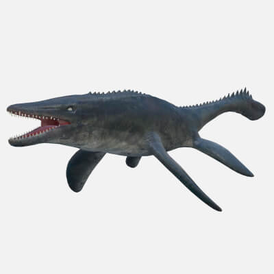 Mosasaurus Reptiles - 3D Model by H3afDya