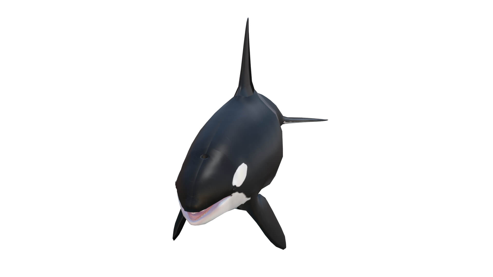 Orca Animal Fish - 3D Model by H3afDya