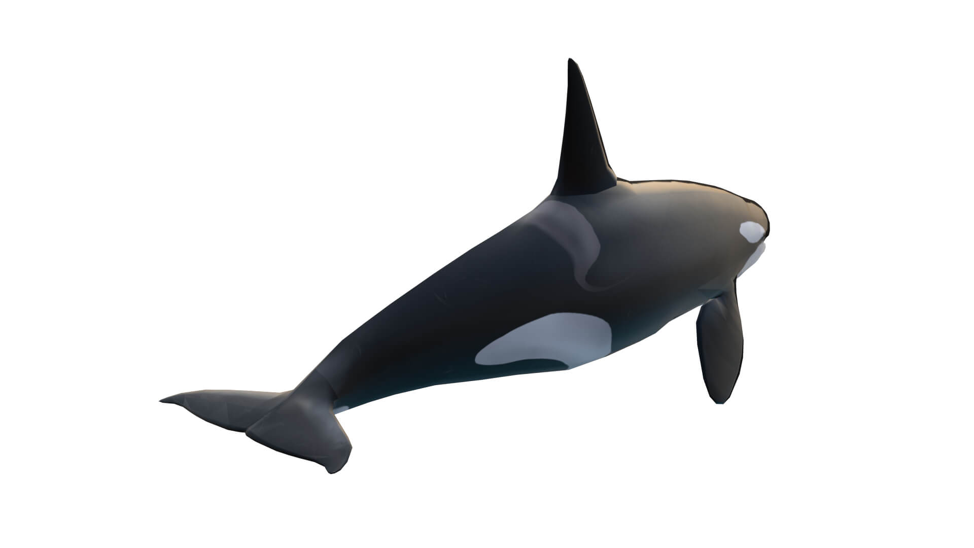 Orca Animal Fish - 3D Model by H3afDya