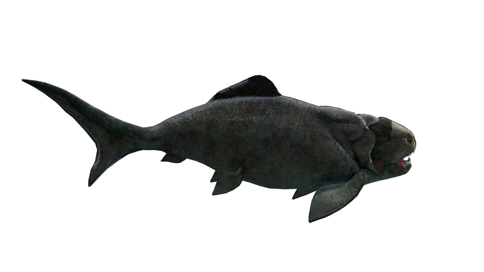Placoderm Fish - 3D Model by H3afDya