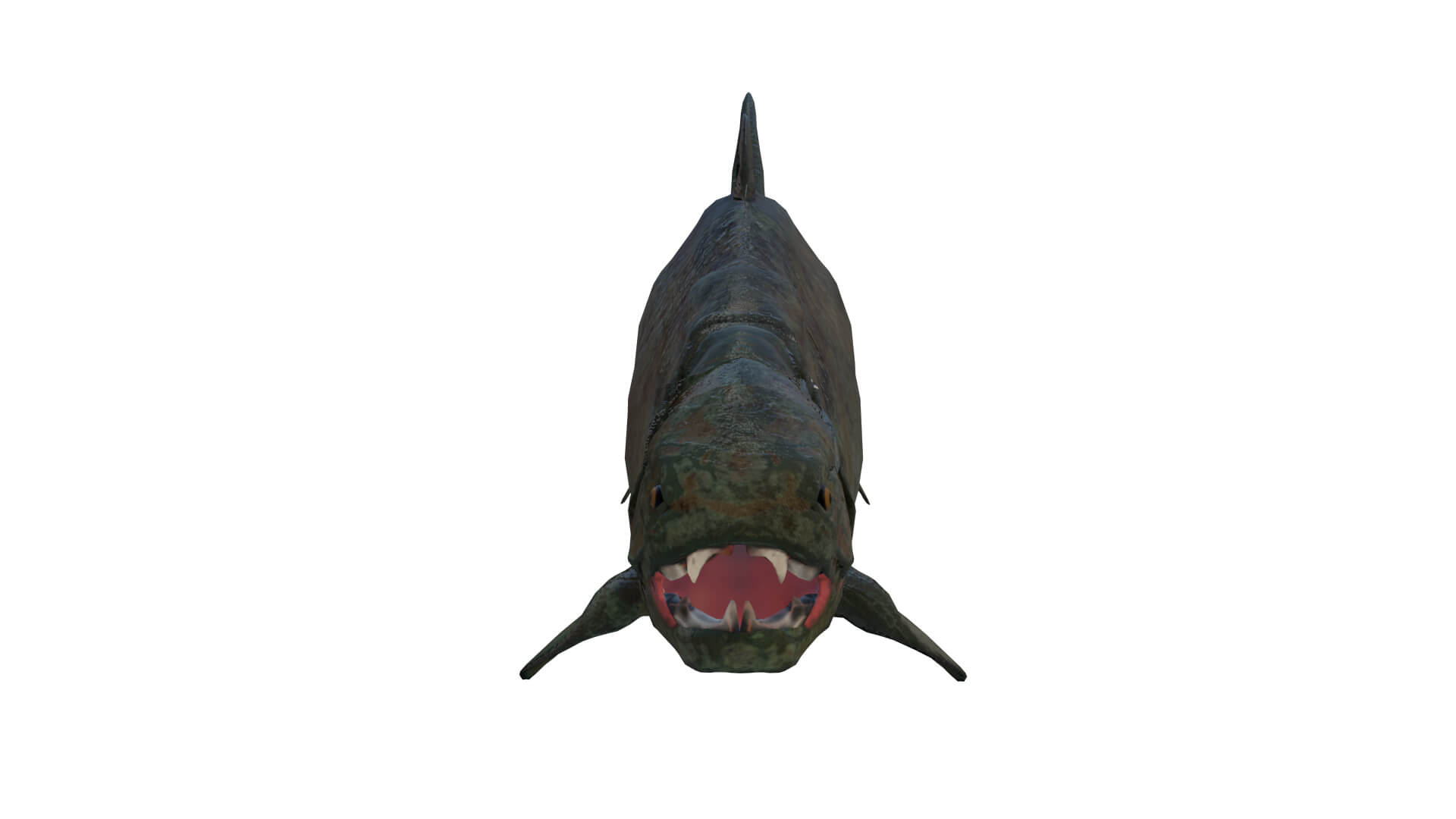 Placoderm Fish - 3D Model by H3afDya