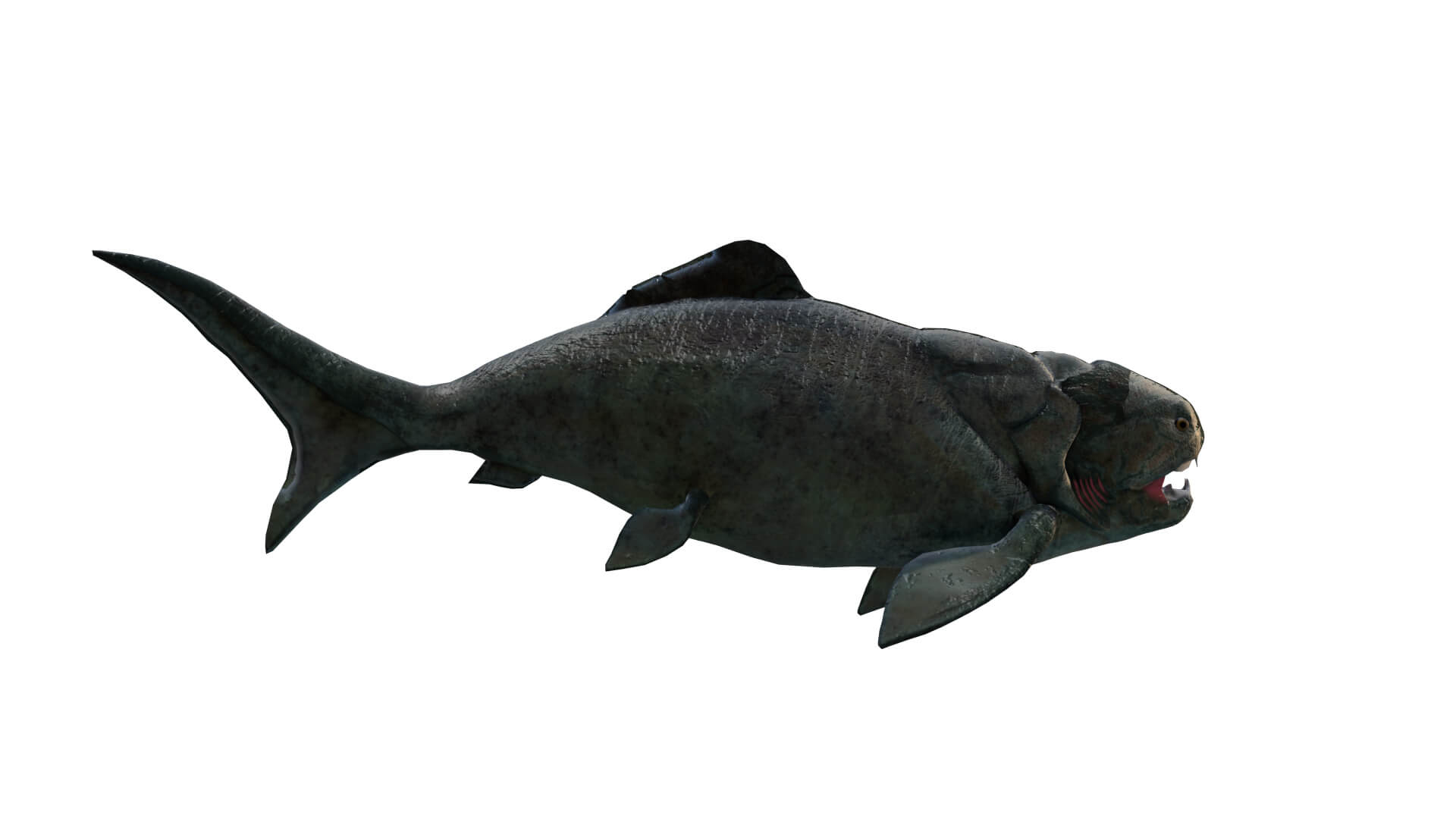 Placoderm Fish - 3D Model by H3afDya
