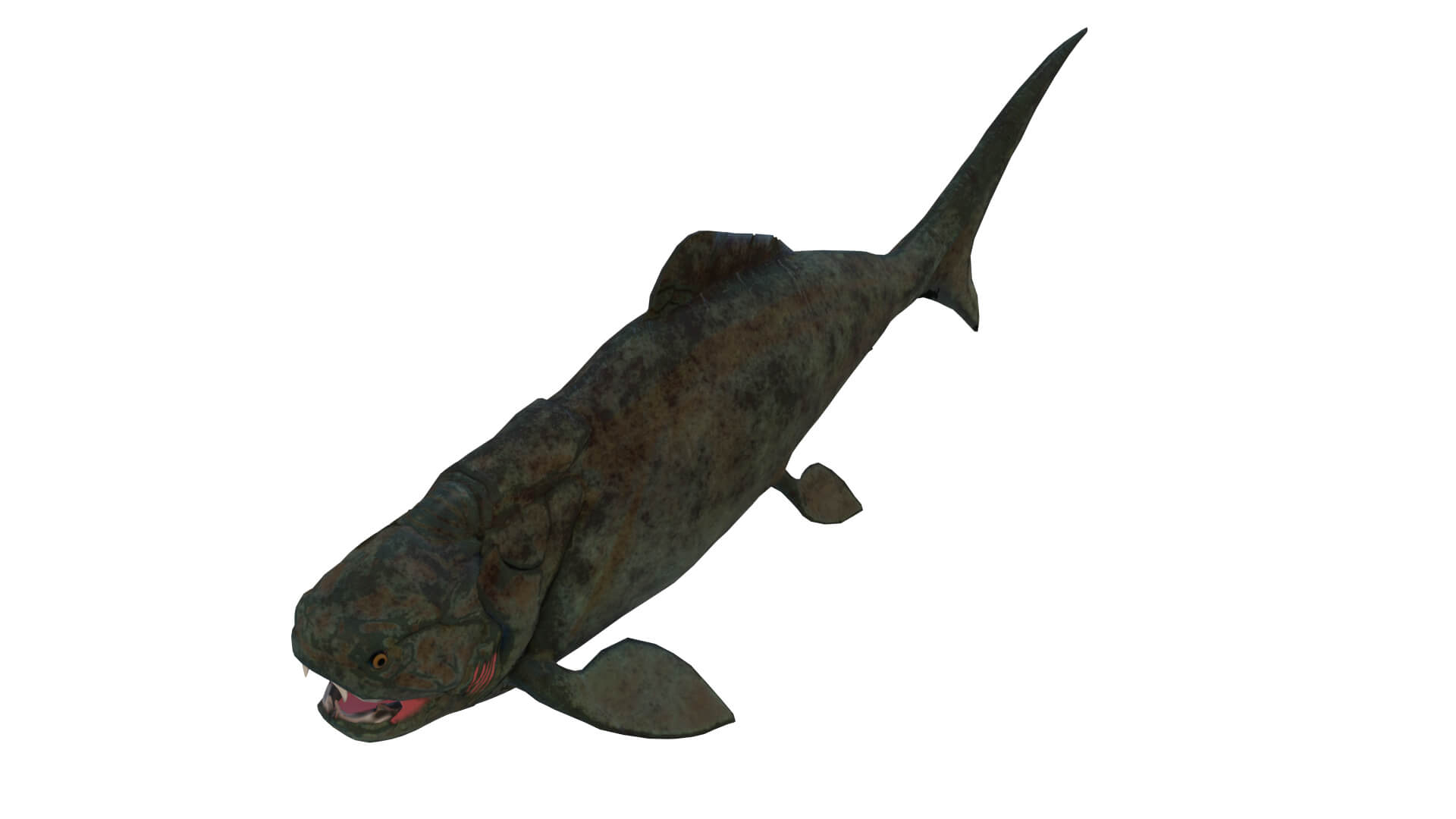 Placoderm Fish - 3D Model by H3afDya