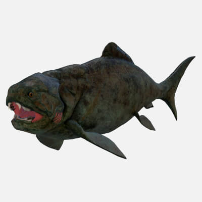 Placoderm Fish - 3D Model by H3afDya
