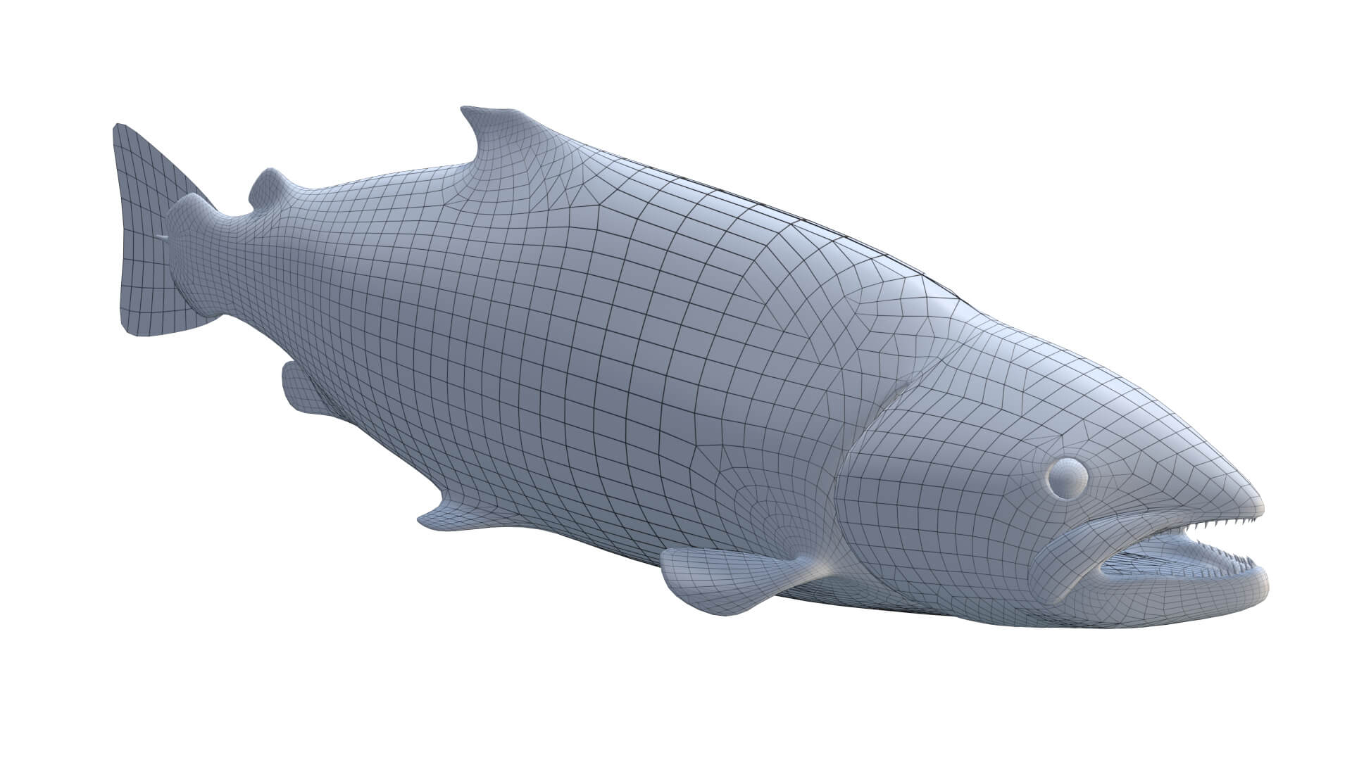 Sea Trout Fish - 3D Model by H3afDya