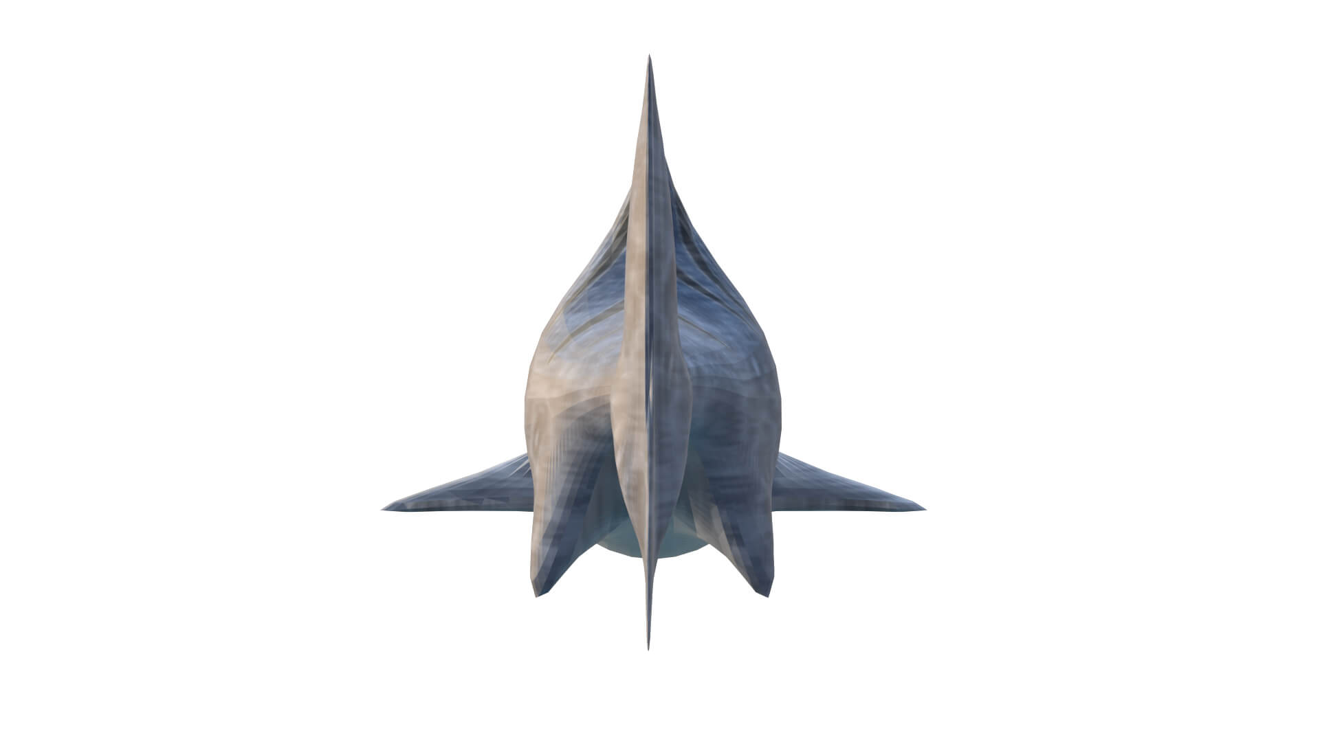Swordfish Fish - 3D Model by H3afDya