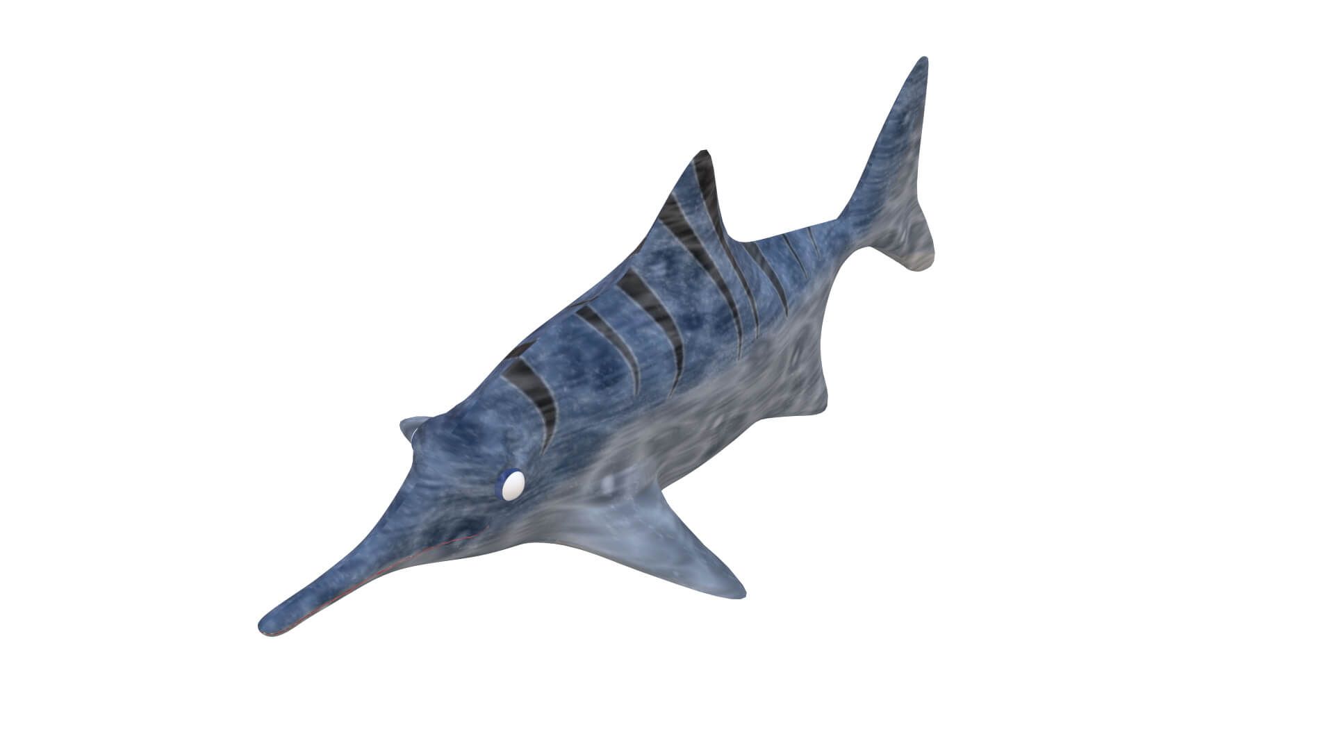 Swordfish Fish - 3D Model by H3afDya
