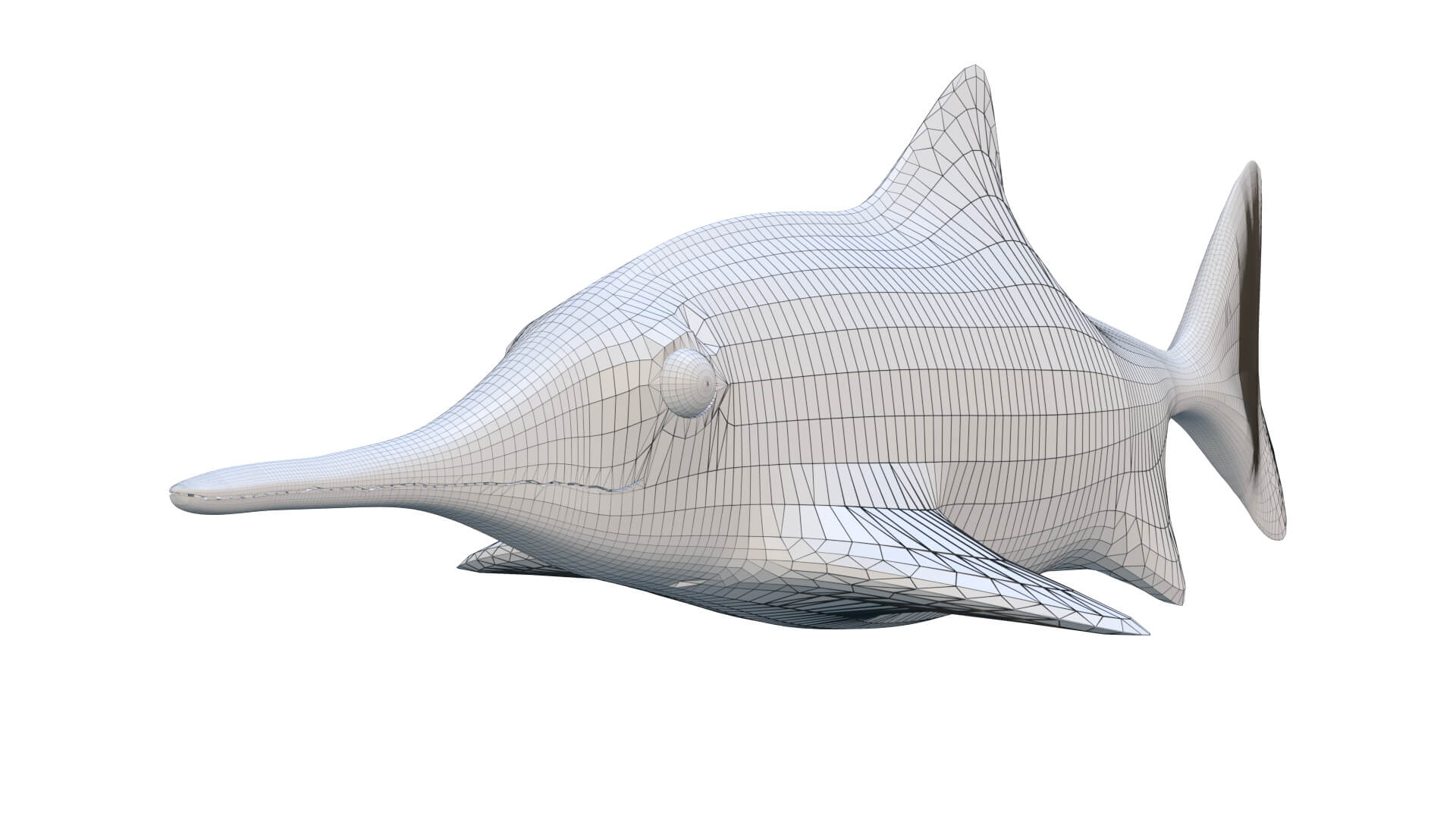 Swordfish Fish - 3D Model by H3afDya