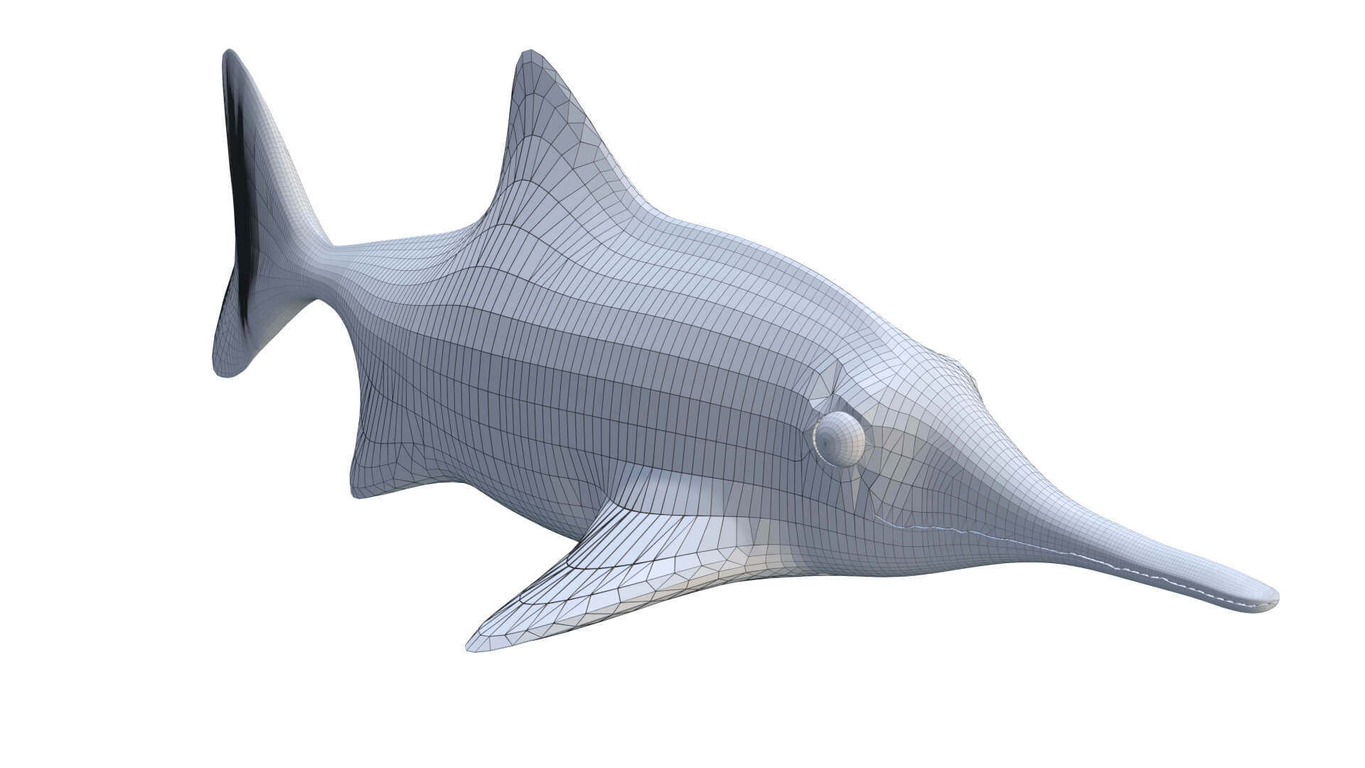 Swordfish Fish - 3D Model by H3afDya