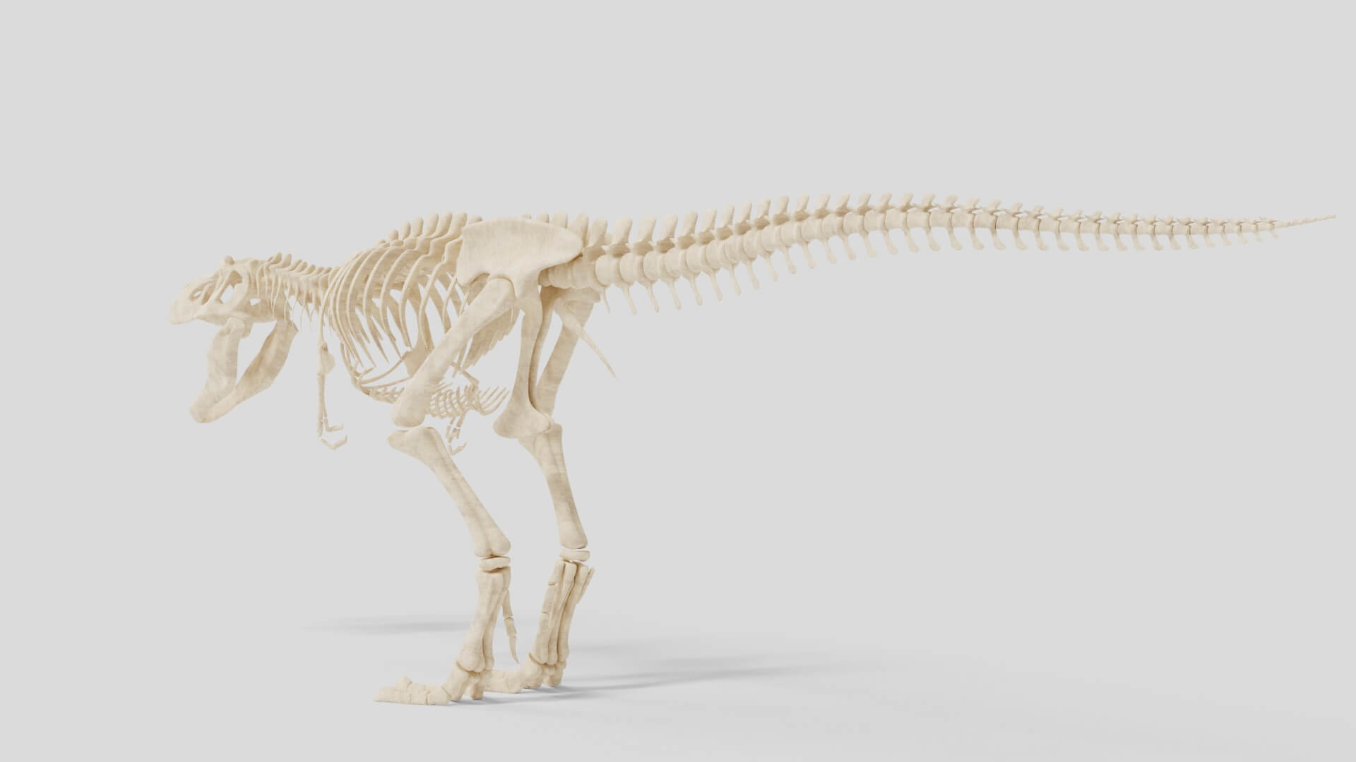 T-Rex Skeleton 3D Model by H3afDya