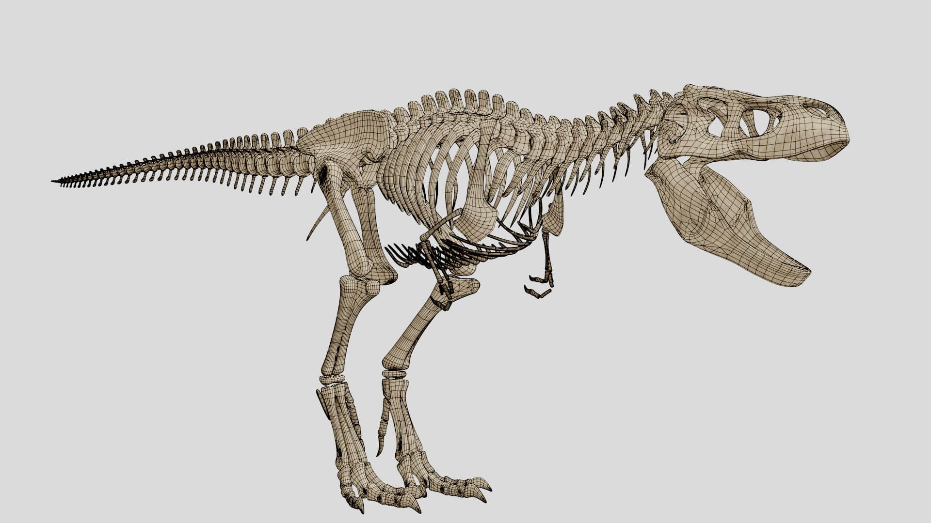 T-Rex Skeleton 3D Model by H3afDya