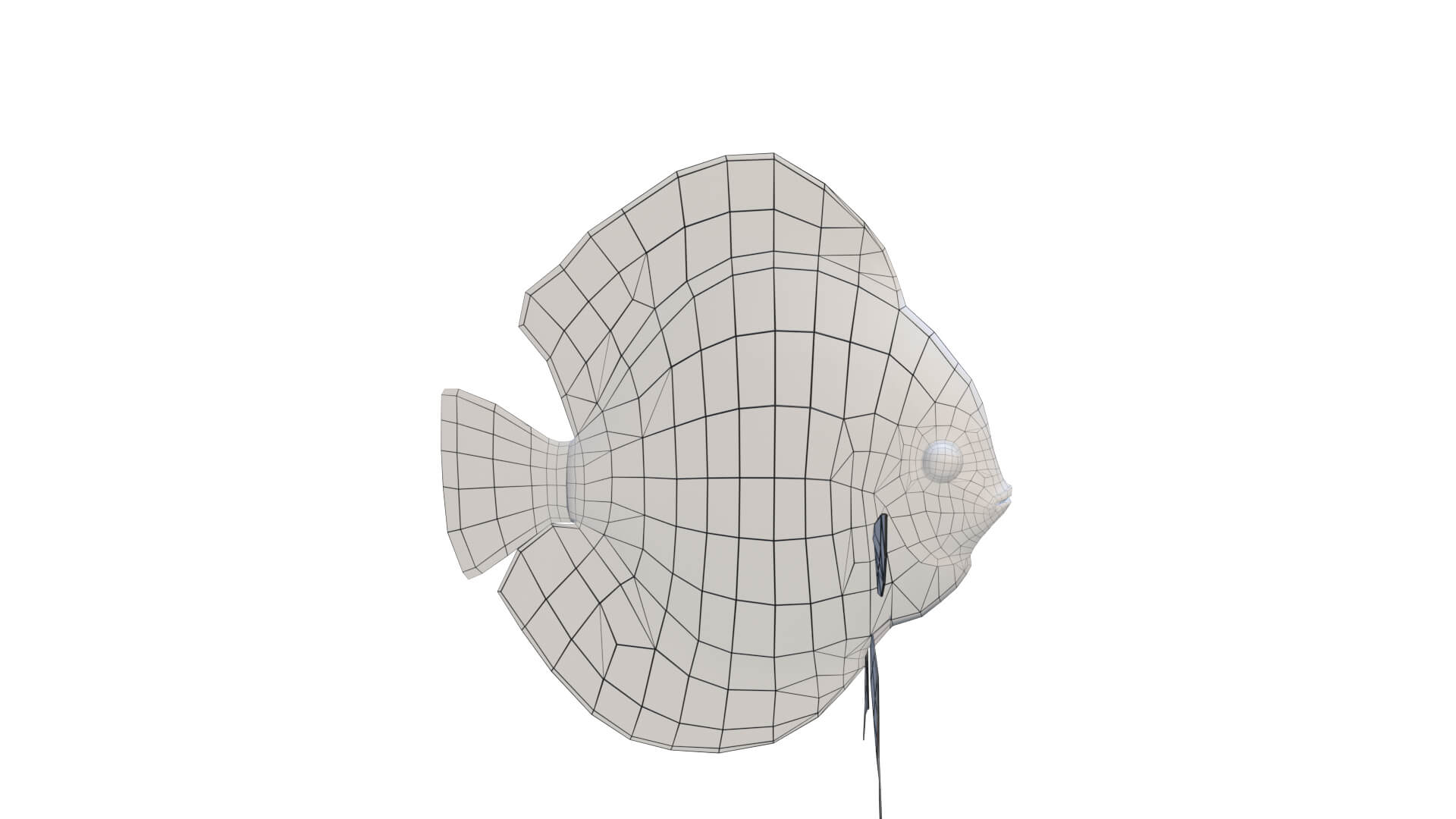 Yellow Discus Fish - 3D Model by H3afDya