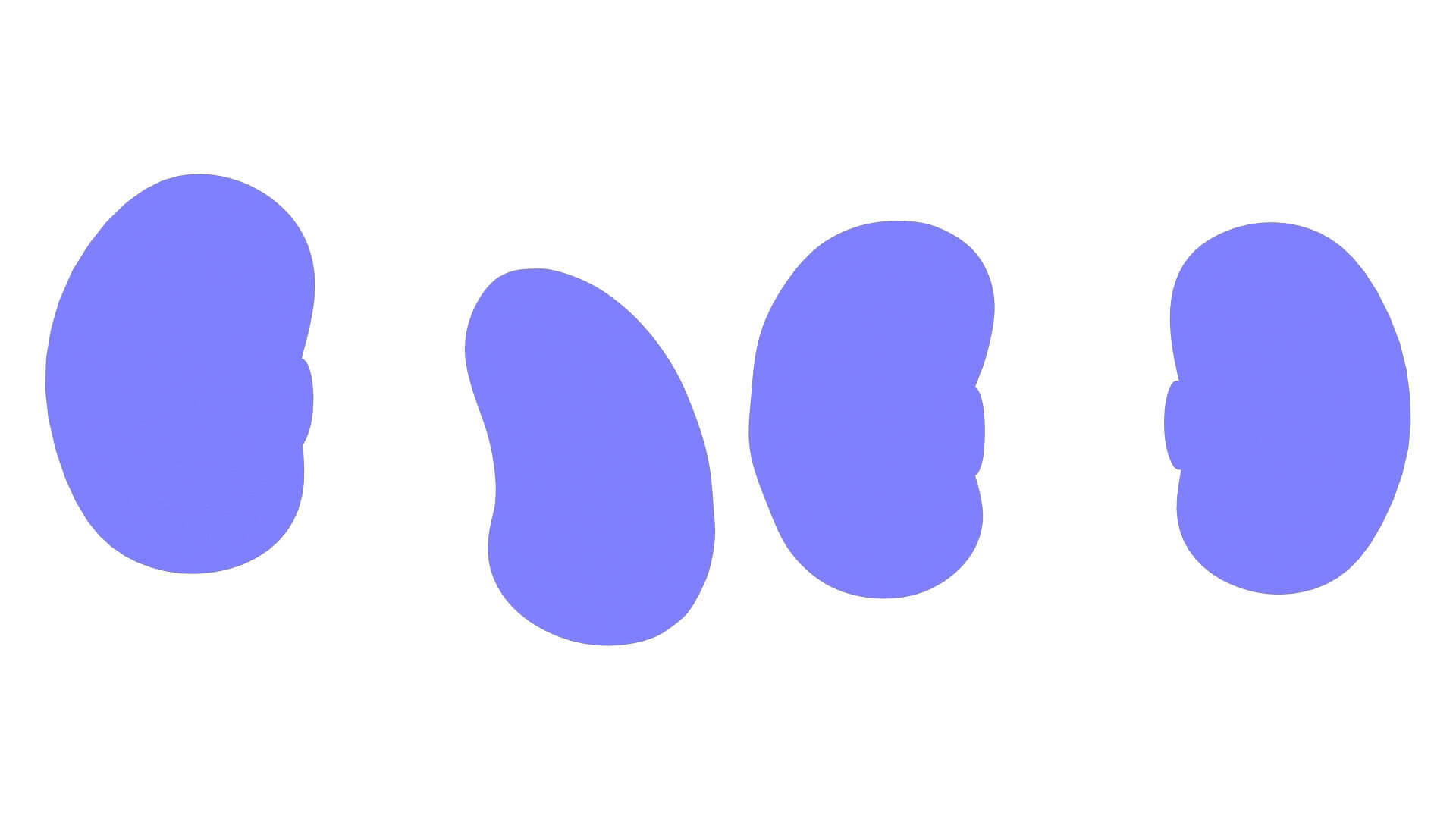 Anatomy of a Bean Seed - 3D Model by h3ydari96