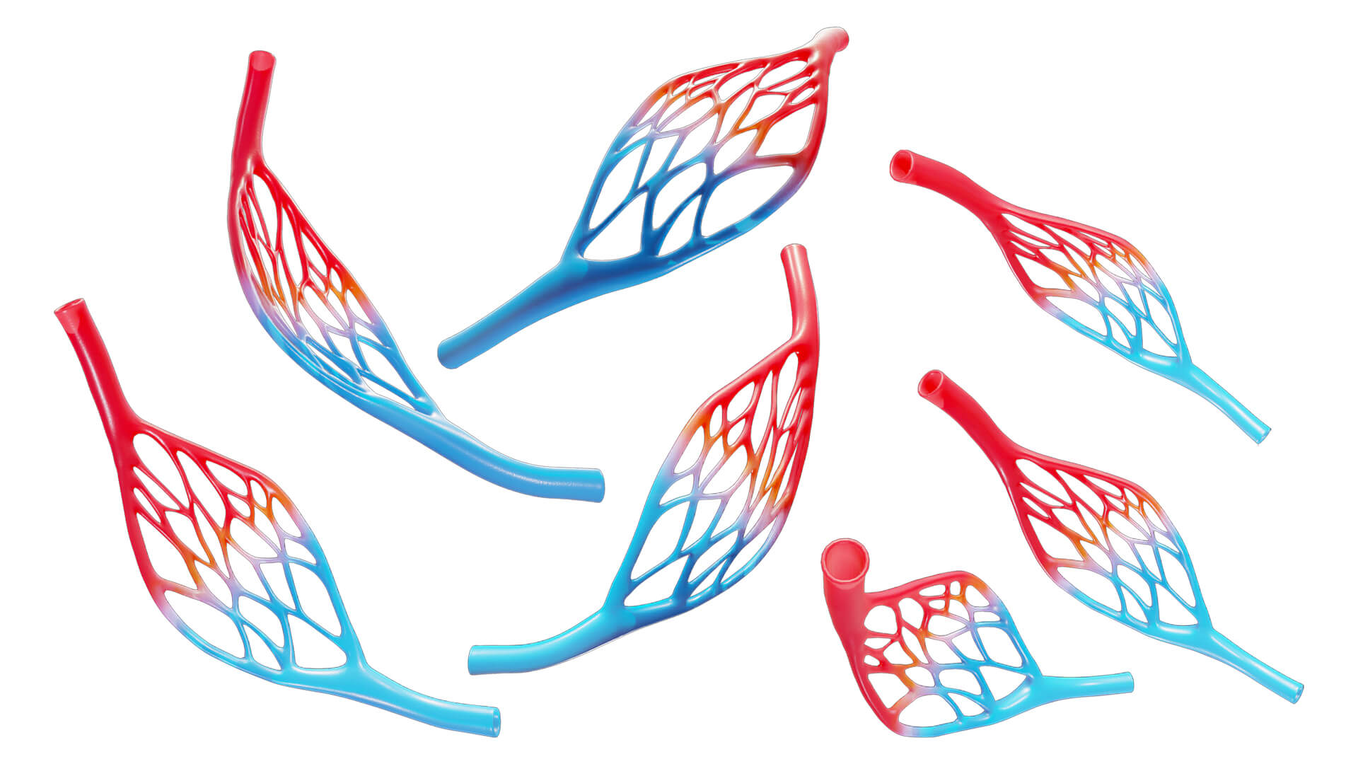 Blood Vessel Anatomy - 3D Model by h3ydari96