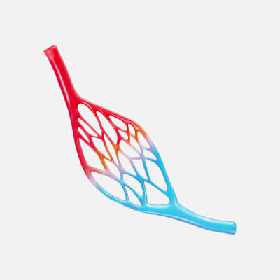 Blend 3D Models | Anatomy | RenderHub