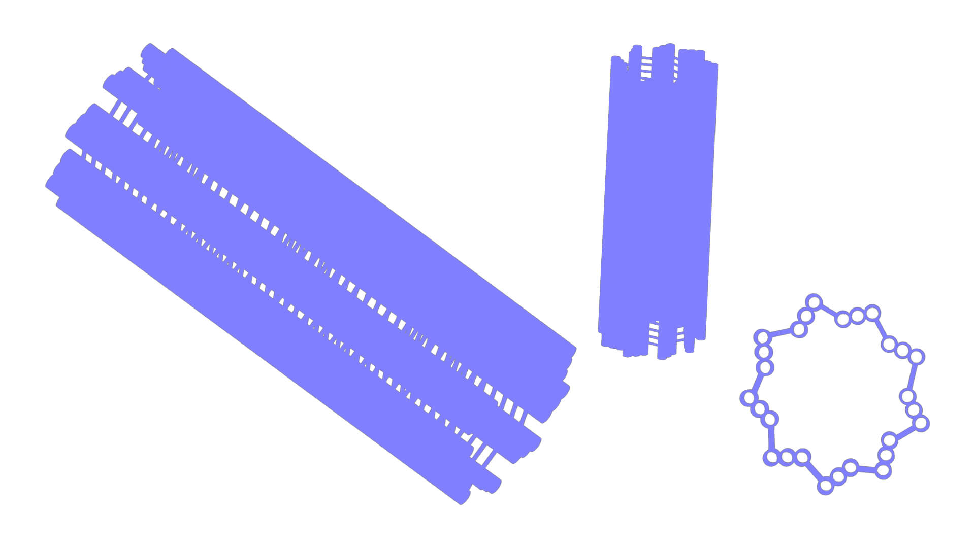 Centriole Structure - 3D Model by h3ydari96