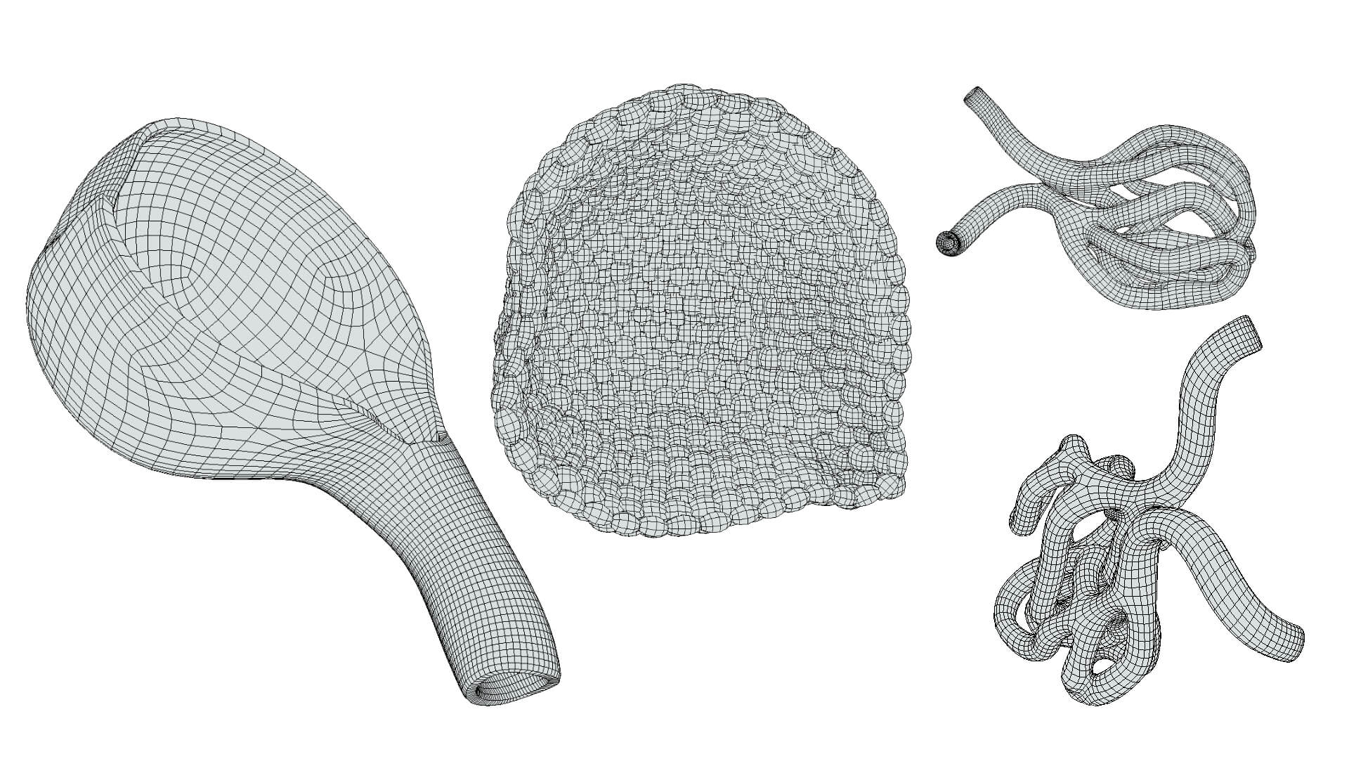 Glomerulus Anatomy - 3D Model by h3ydari96