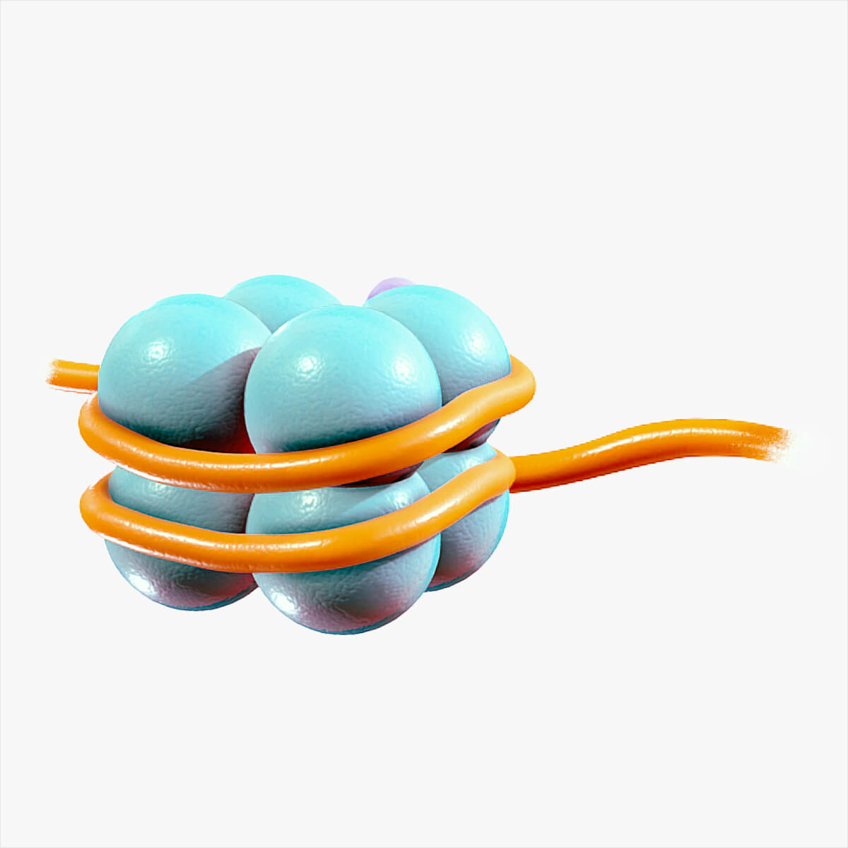 Histone Structure - 3D Model by h3ydari96