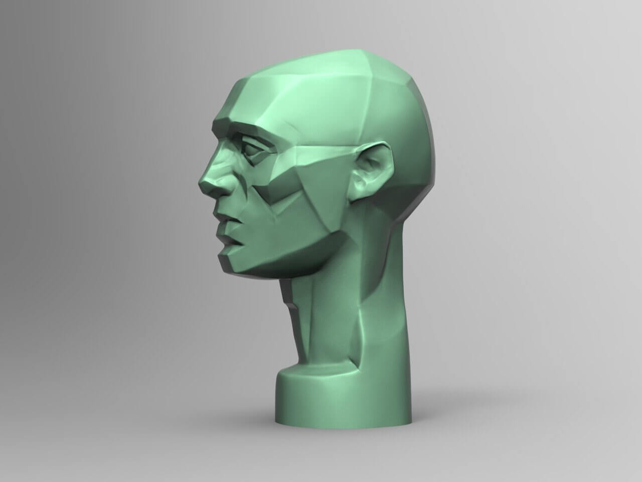 Planes of The Head - John Asaro 3D Model by h3ydari96