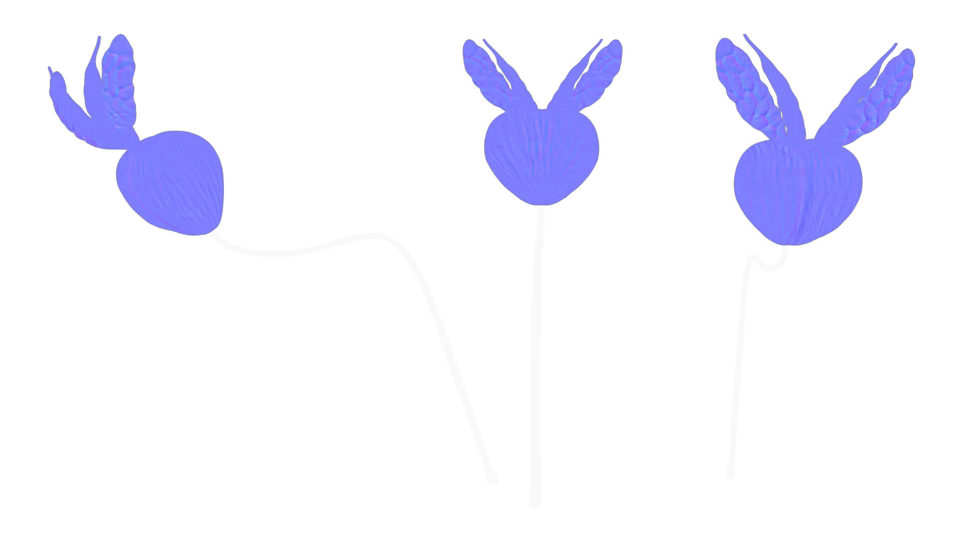 Prostate Anatomy - 3D Model by h3ydari96