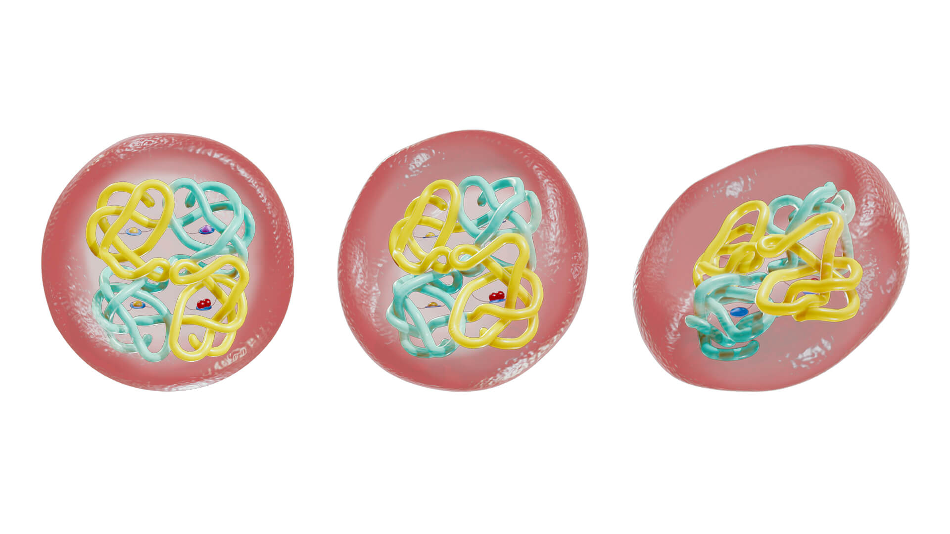 The Structure of Hemoglobin - 3D Model by h3ydari96