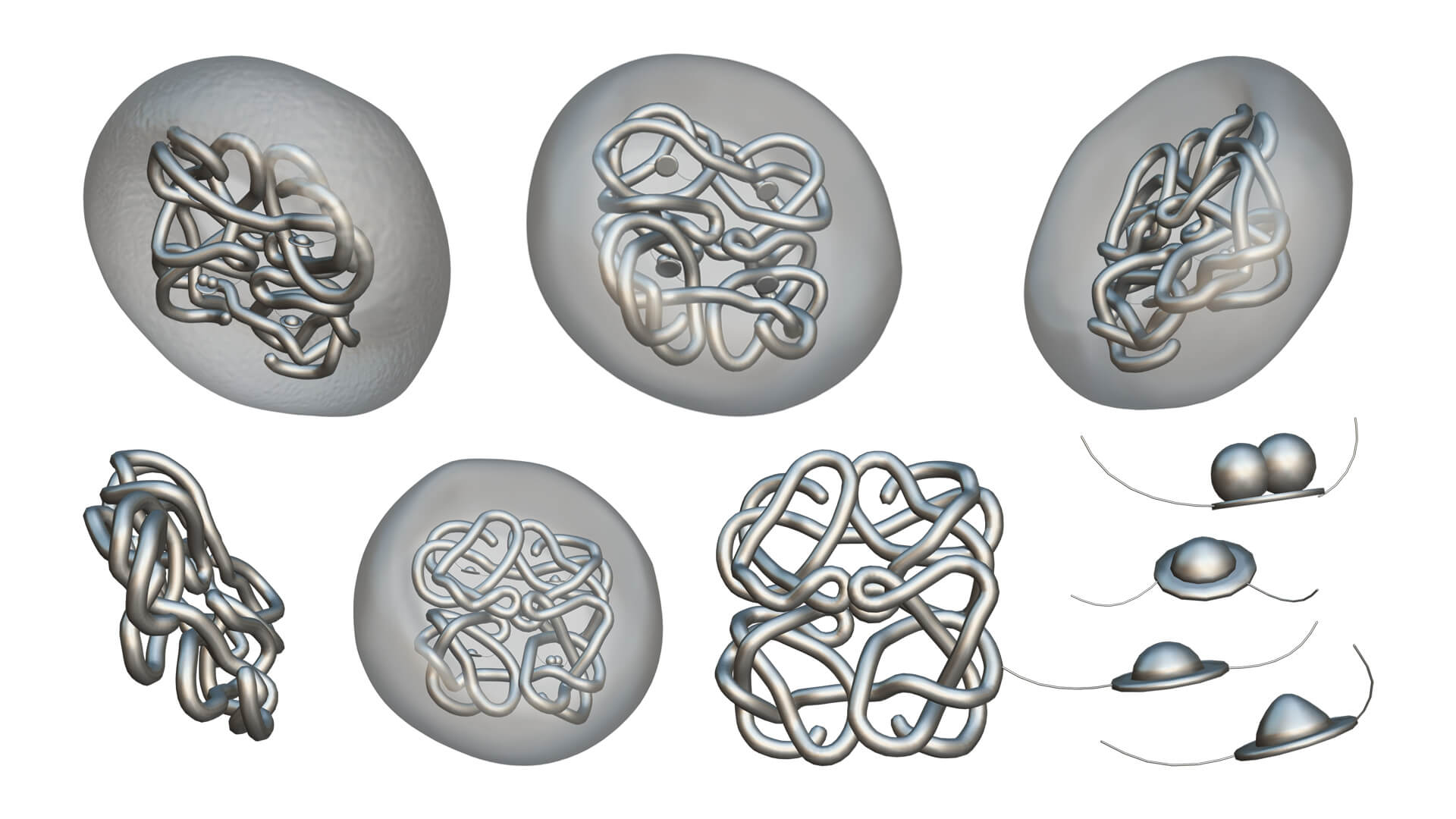 The Structure of Hemoglobin - 3D Model by h3ydari96