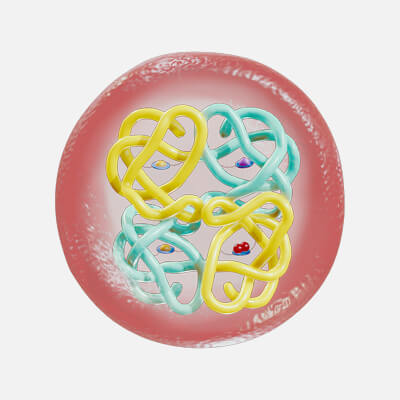 The Structure of Hemoglobin - 3D Model by h3ydari96