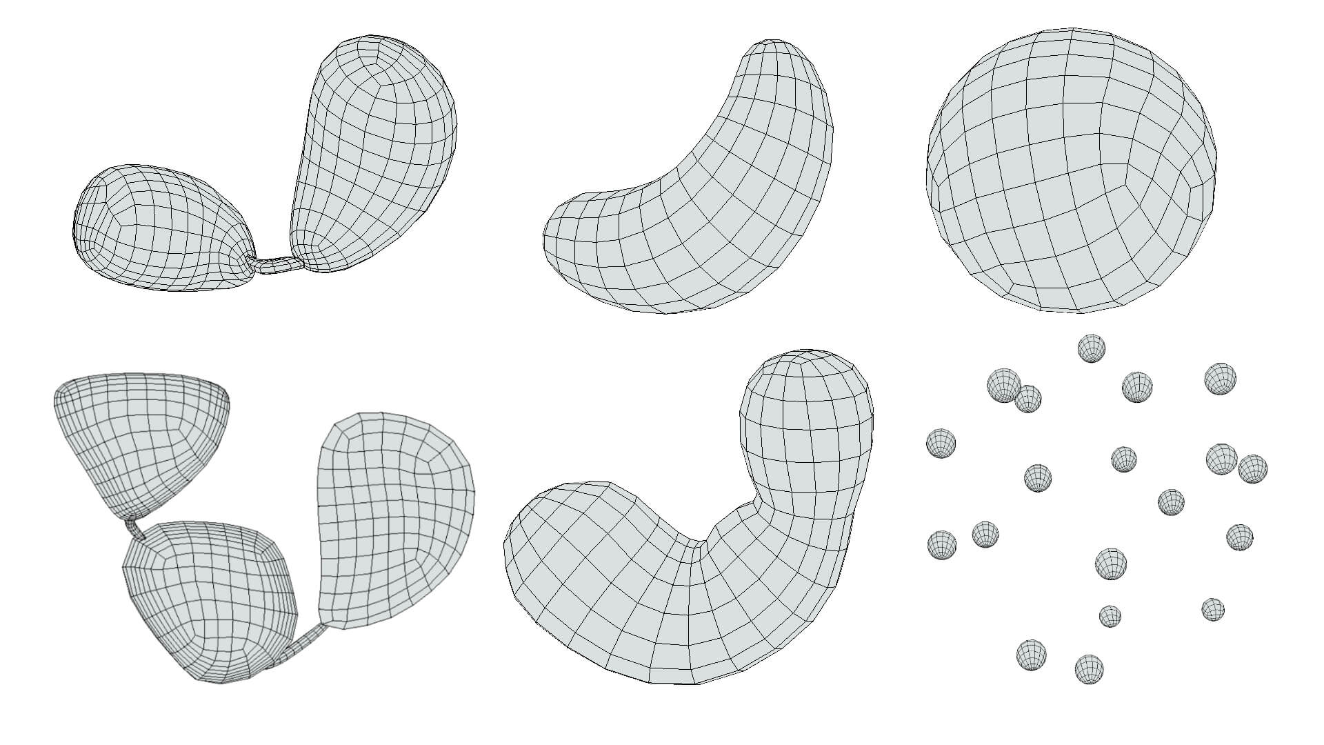 White Blood Cells - 3D Model by h3ydari96