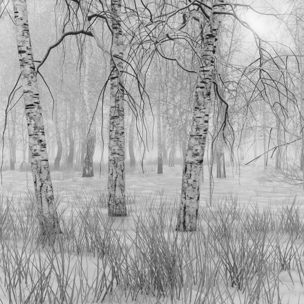 Forest Scene Winter 3D Render | RenderHub Gallery