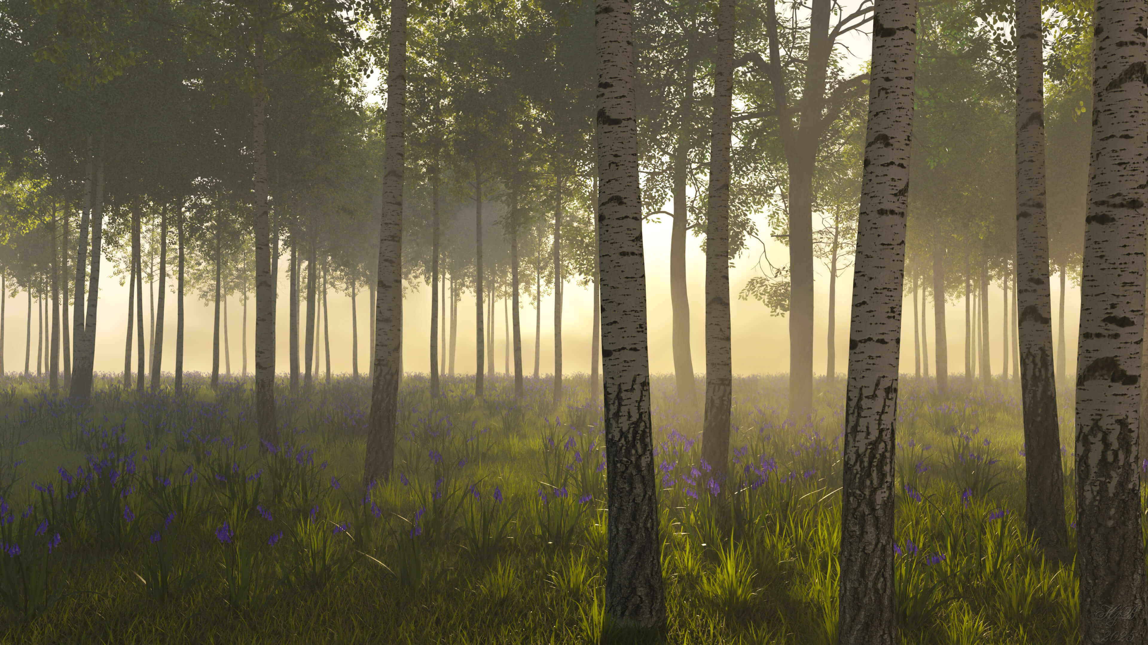 Foggy Forest 4 3D Render, Digital Art by Hajoba