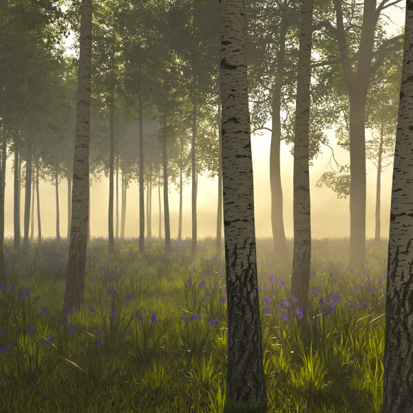 3D Art Gallery by Hajoba at RenderHub