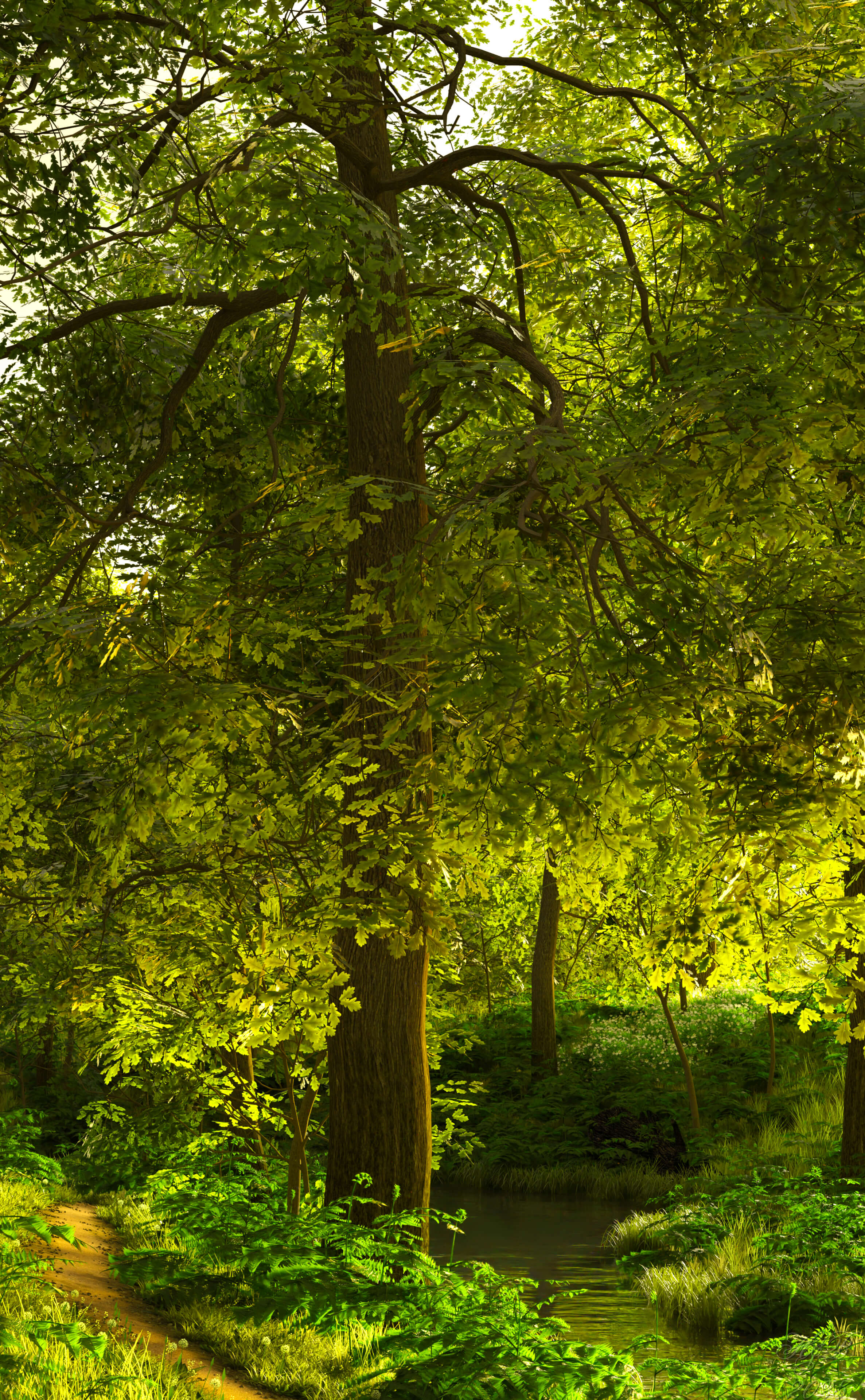 Forest Scene 2 3D Render, Digital Art by Hajoba