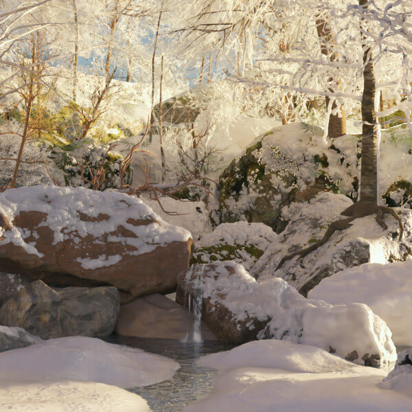 Forest Scene 3D Render | RenderHub Gallery