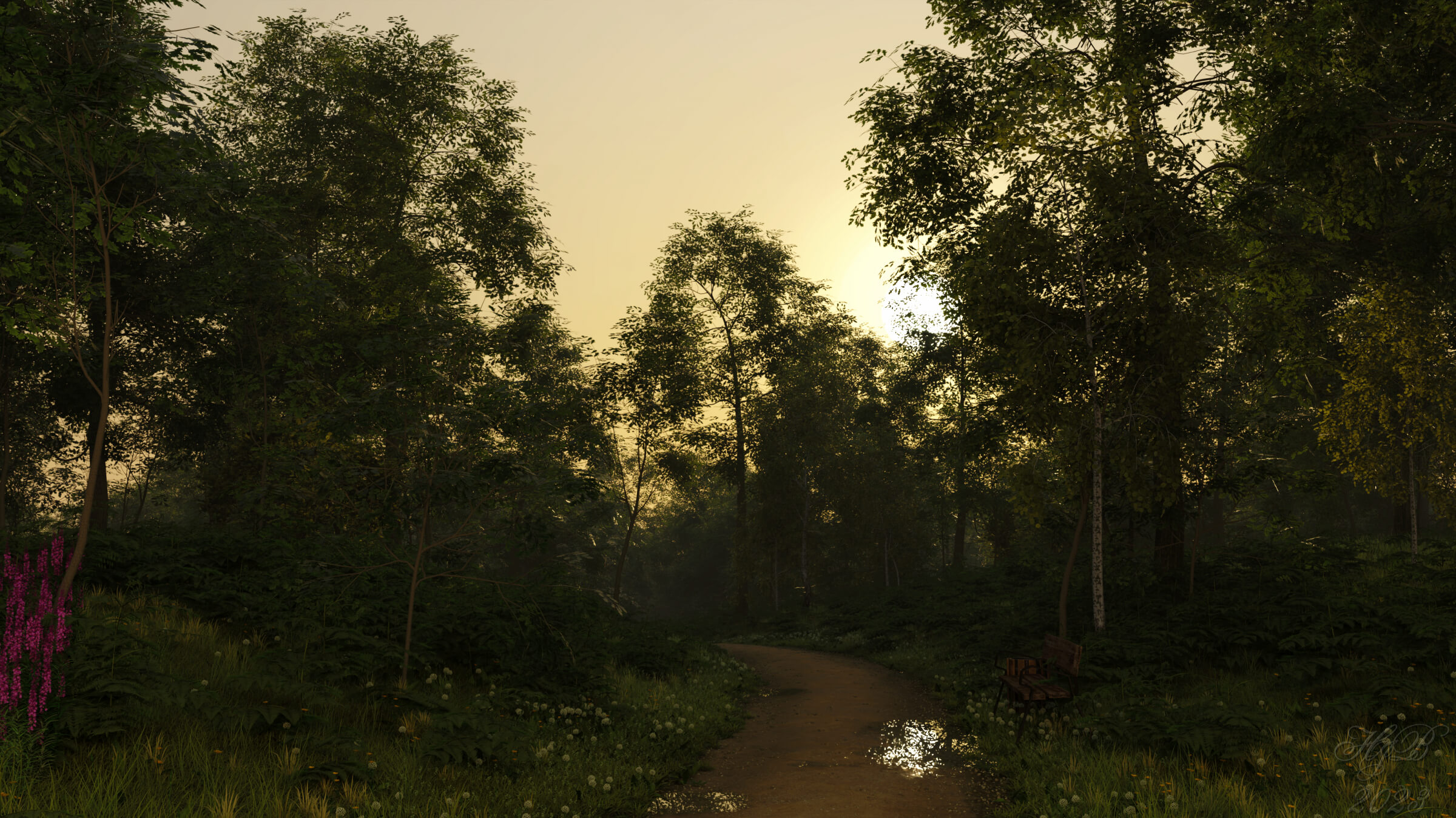 Misty Morning In The Forest 3D Render | RenderHub Gallery