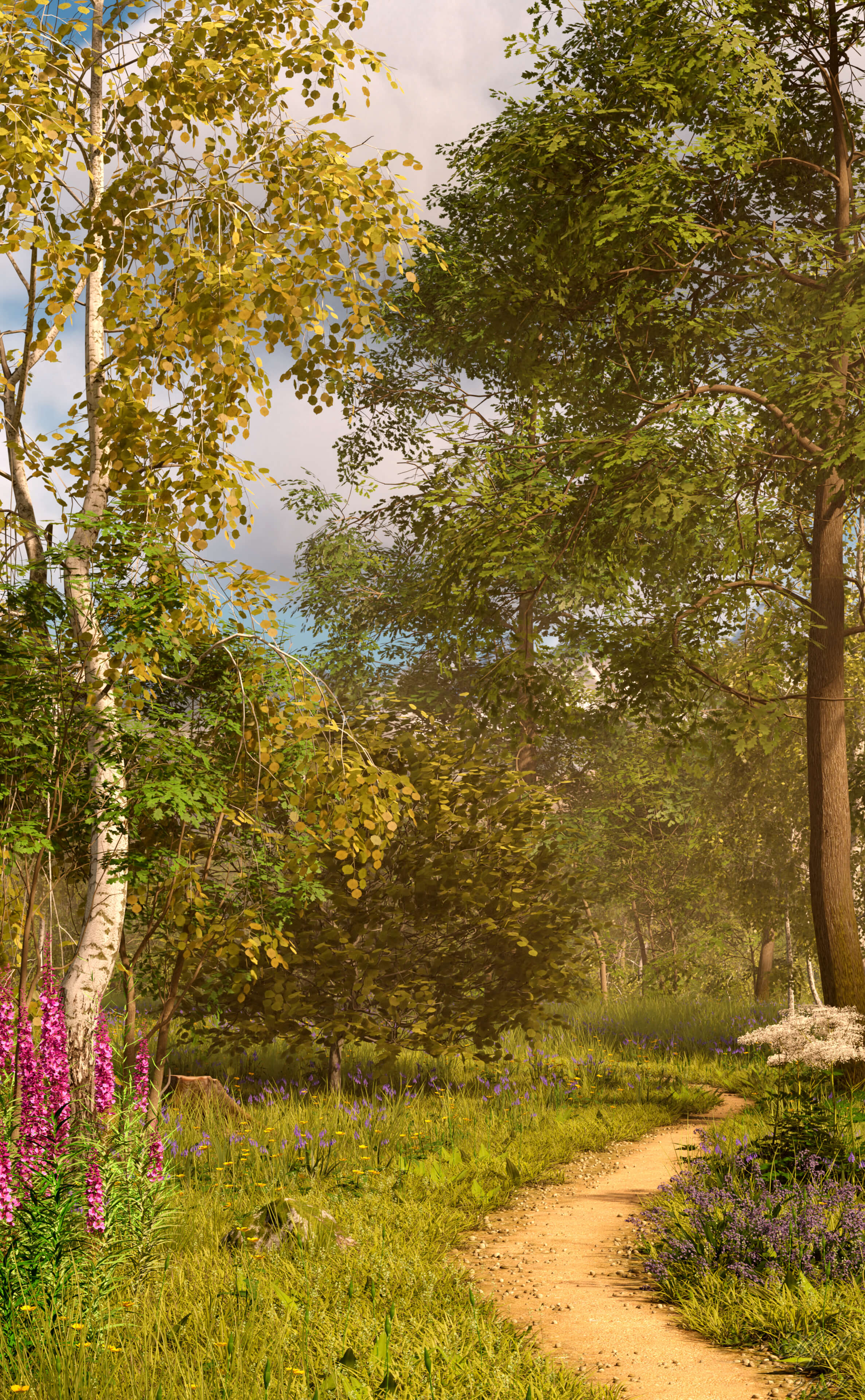 Path 3D Render, Digital Art by Hajoba