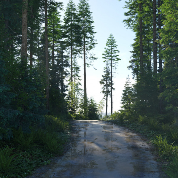 3D Art Gallery | View Images and Submit 3D Renders at RenderHub