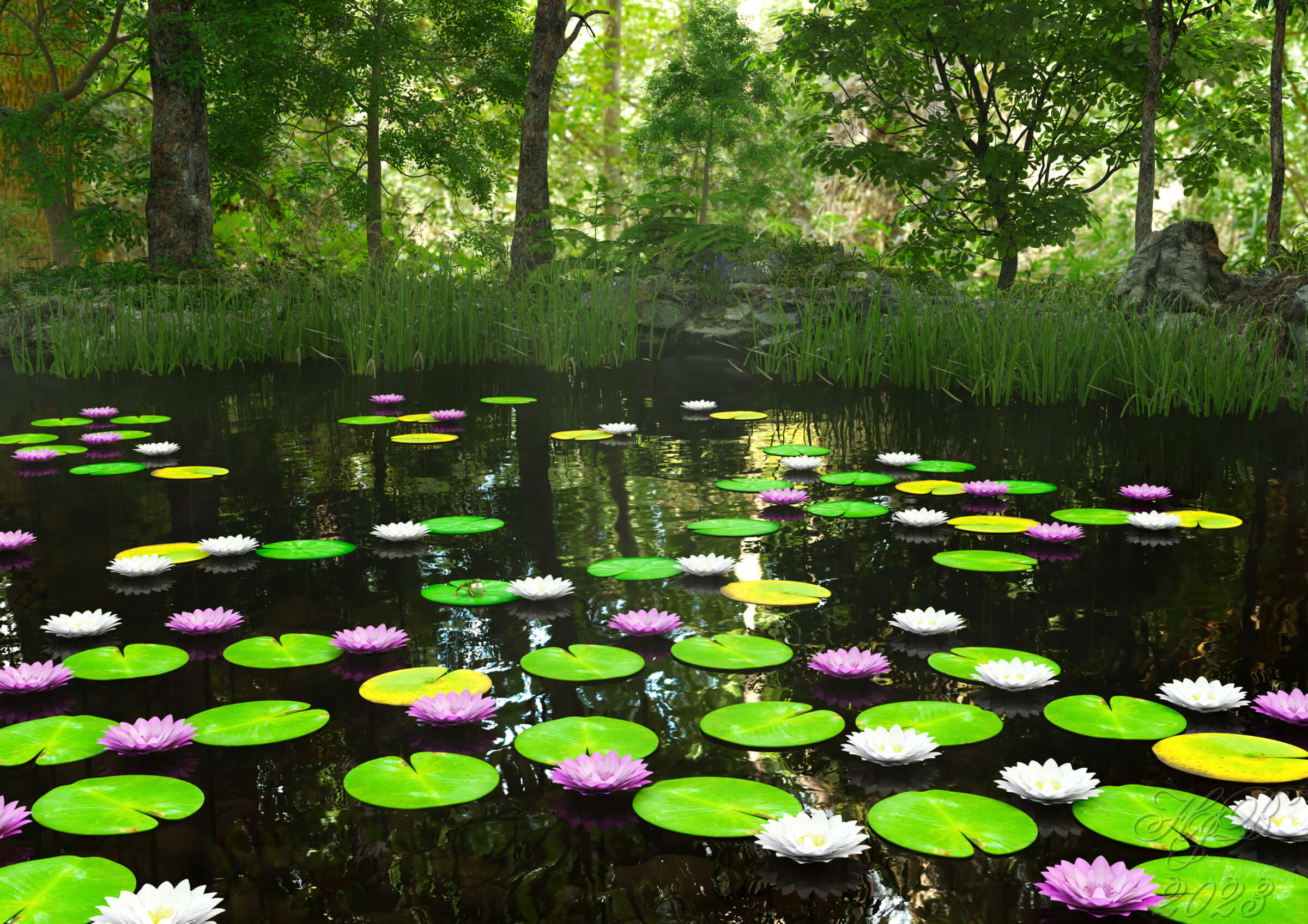 Water Lily Pond 3D Render, Digital Art by Hajoba
