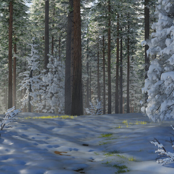Forest Scene 3D Render | RenderHub Gallery