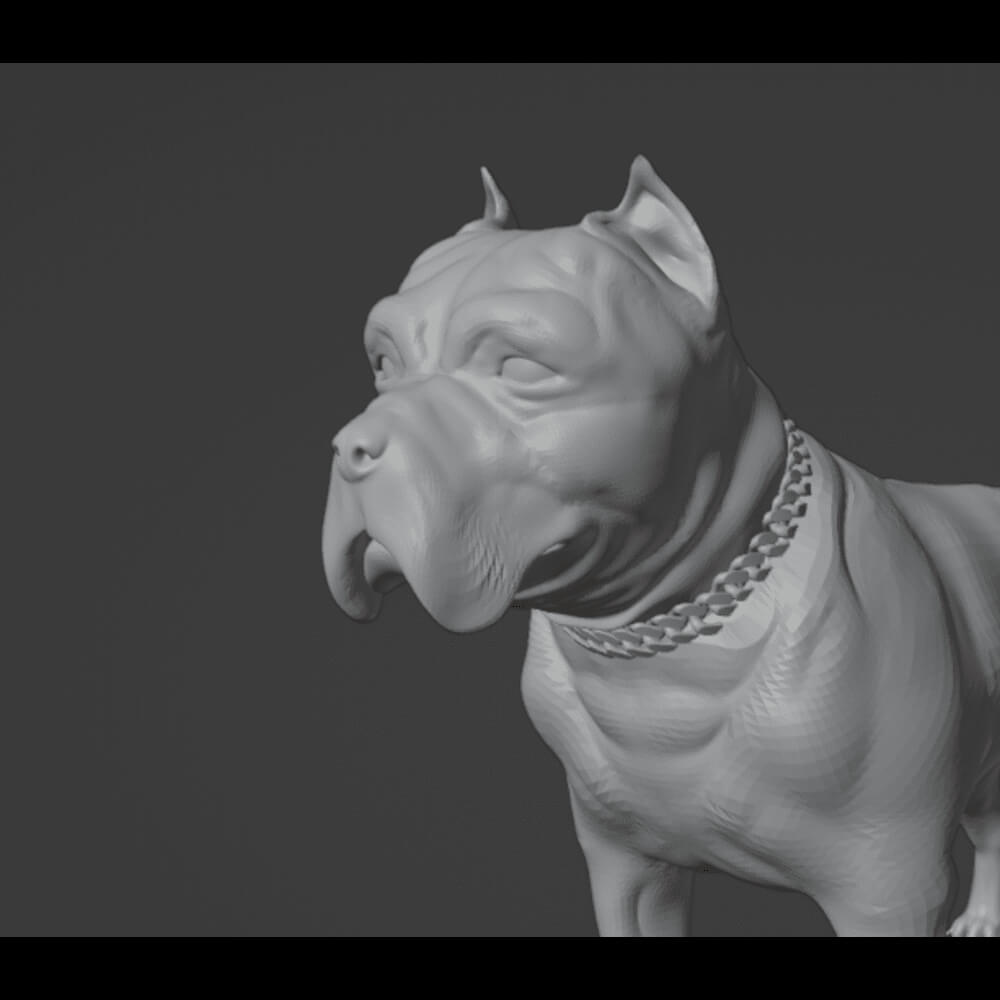 Bull Dog With Neck Chain - 3D Print Model by Hammad Hussain